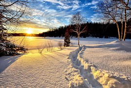 Vinterlandskab Sne Billeder Vinter - Gratis foto på Pixabay