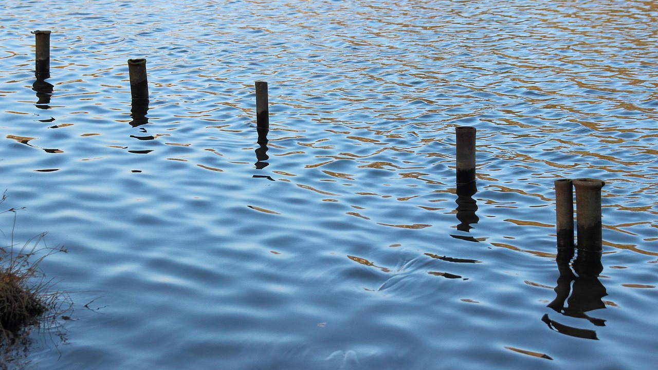 Water Riverbank Stake - Free photo on Pixabay