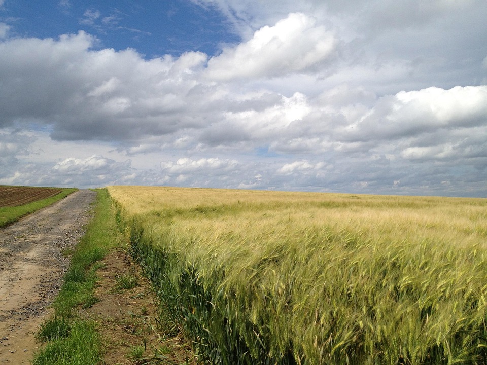 Nature Landscape Grass - Free photo on Pixabay - Pixabay