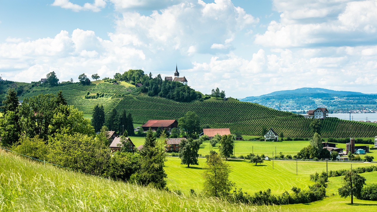 Landscape Vines Chapel - Free photo on Pixabay - Pixabay
