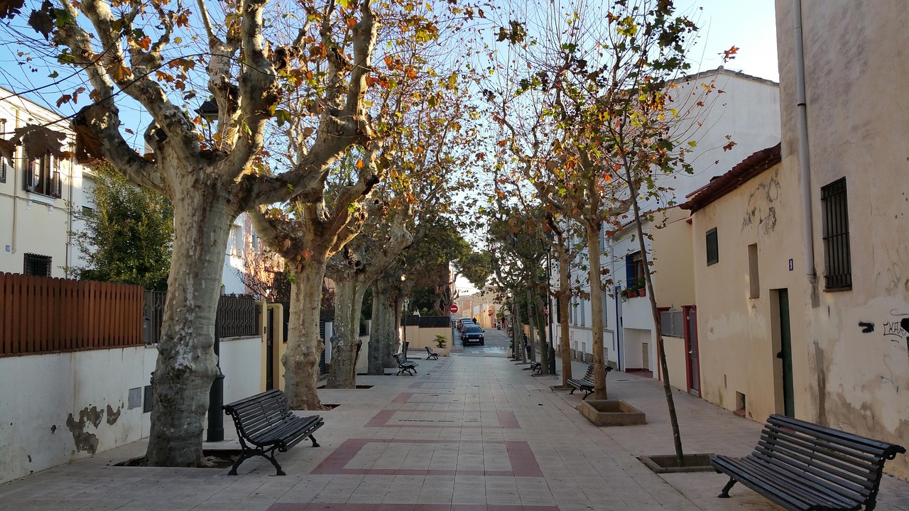 Calle Arboles Pueblo - Foto gratis en Pixabay - Pixabay