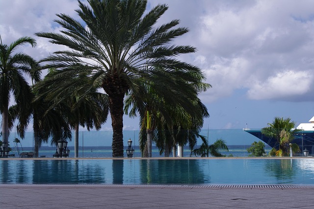 100+ Free Aruba & Caribbean Images - Pixabay