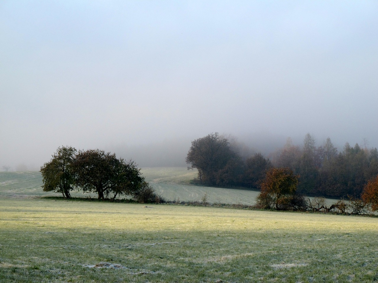 Autumn Cold Green - Free photo on Pixabay