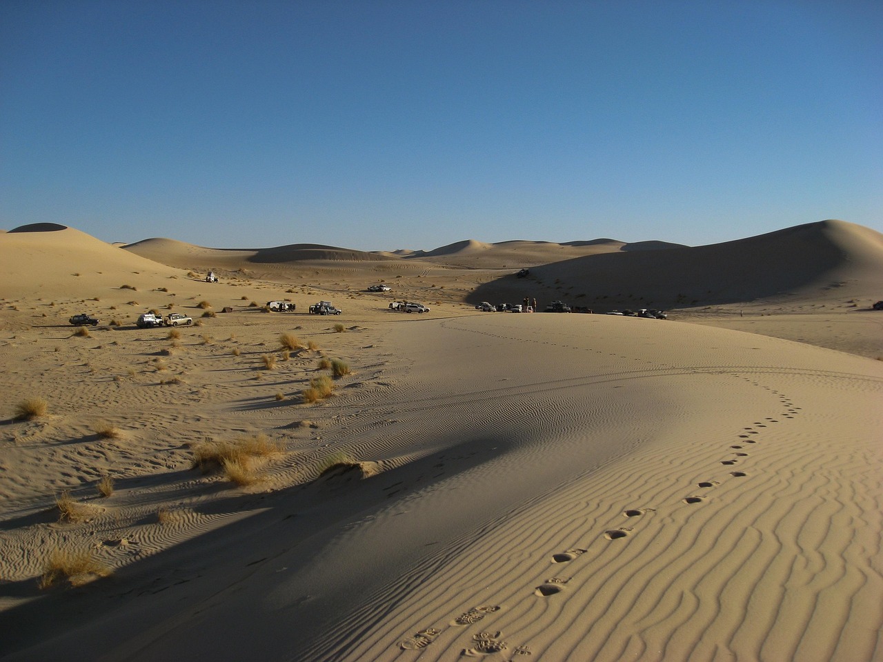 Algeria Sahara Desert - Free photo on Pixabay - Pixabay