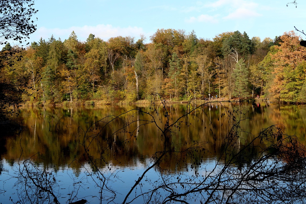 Lake Fall Nature Bear - Free photo on Pixabay - Pixabay