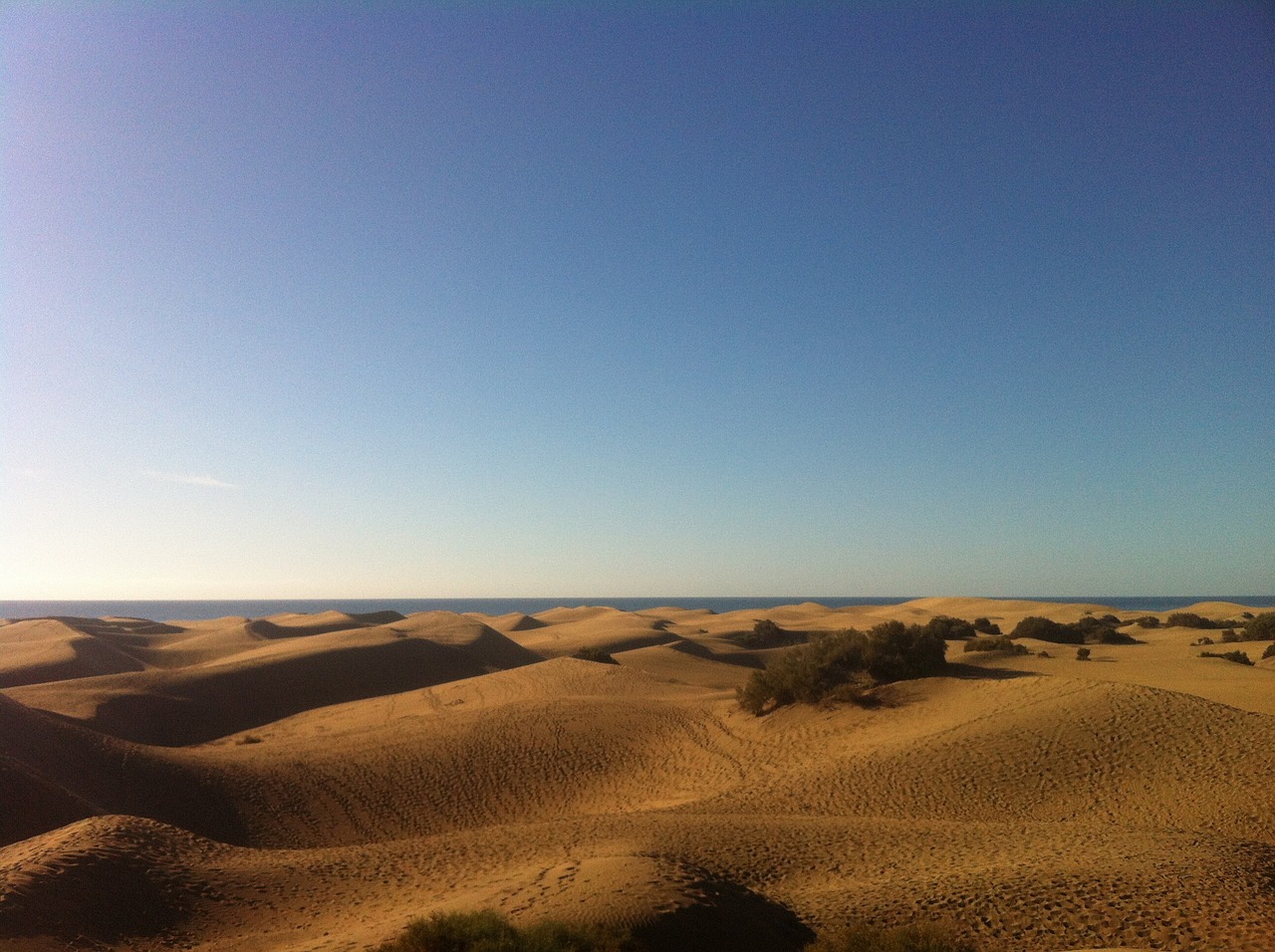 Desert Beach Nature - Free photo on Pixabay - Pixabay