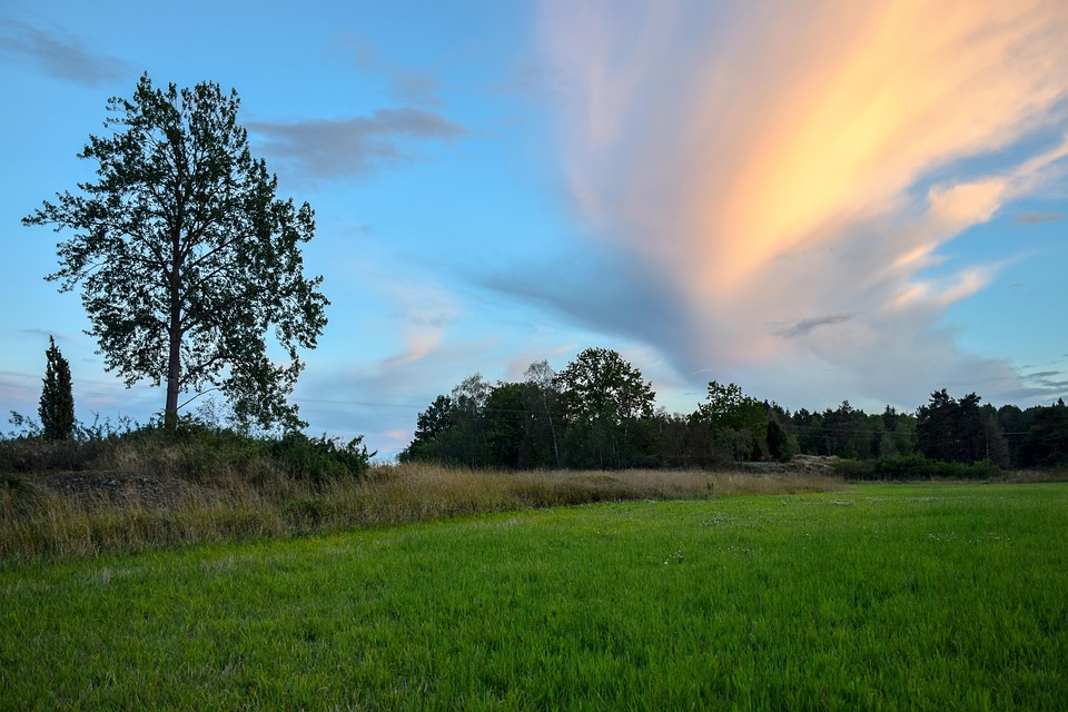 Environment Nature Cloud - Free photo on Pixabay - Pixabay