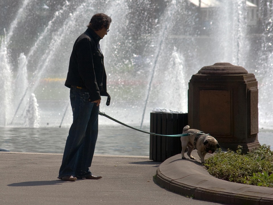 Fountain Human Dog Water - Free photo on Pixabay - Pixabay