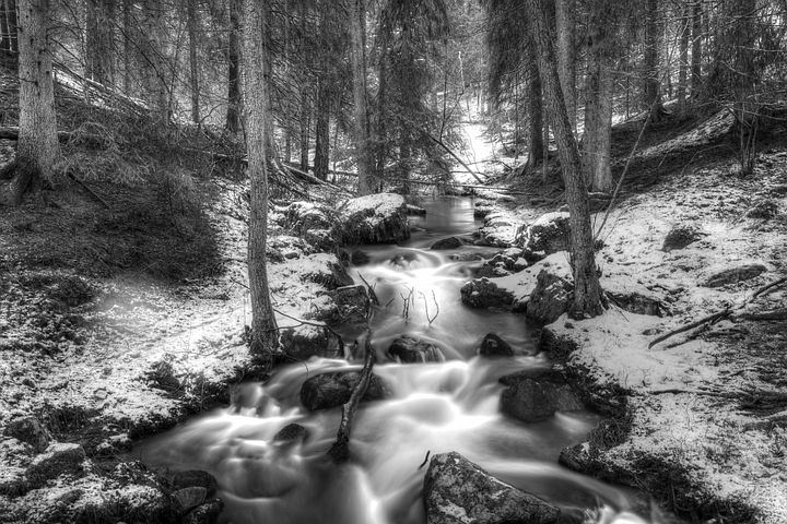 800+ Free Forest Creek & Creek Images - Pixabay