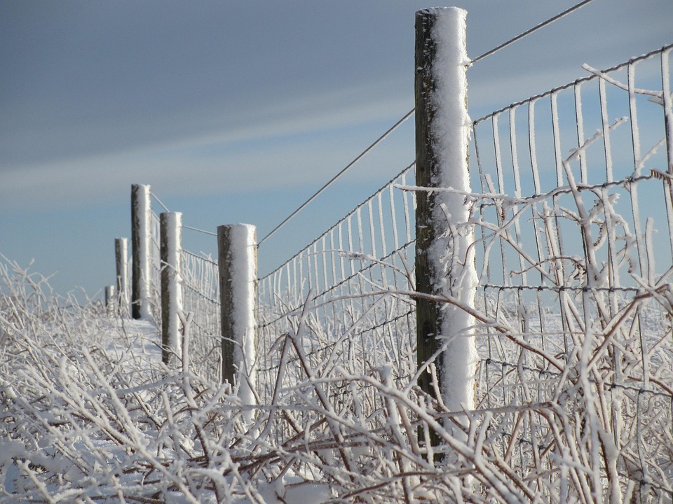 Winter Snow Fence - Free photo on Pixabay - Pixabay