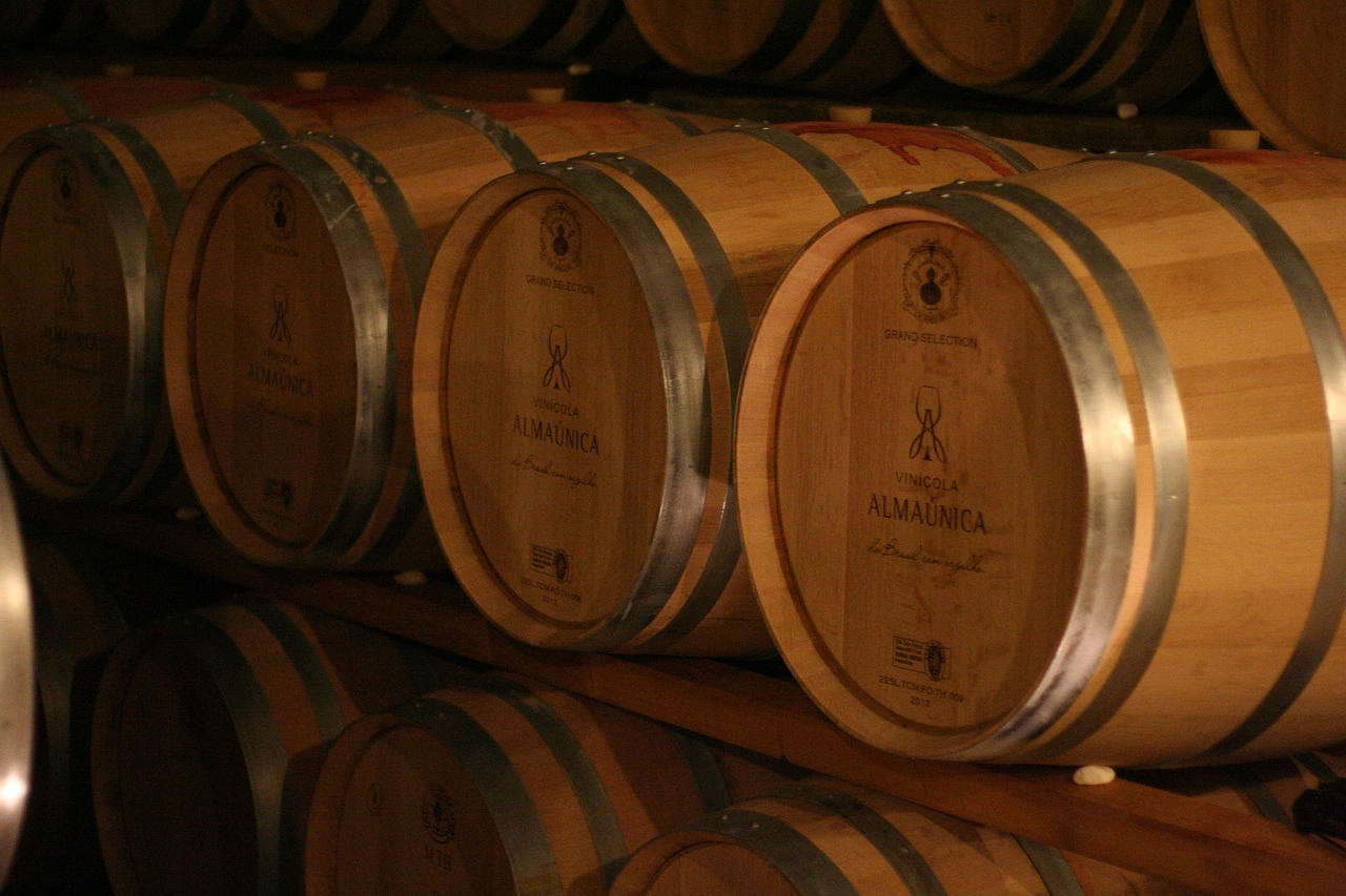 Vin Vignoble Baril - Photo gratuite sur Pixabay - Pixabay