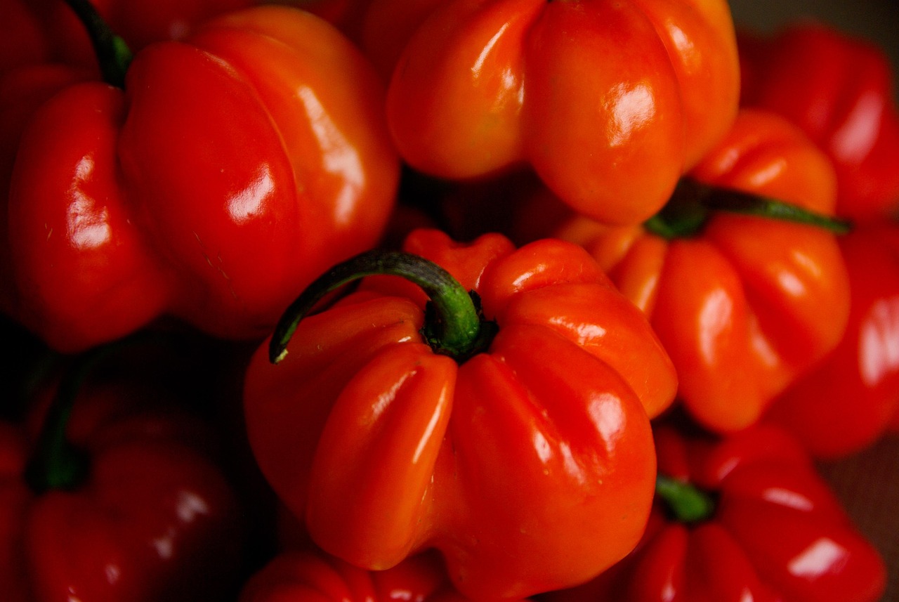 Chili Peppers West Indies Spices - Free photo on Pixabay