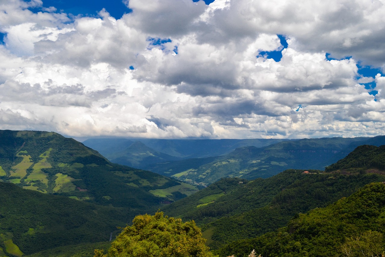 Mais de 6.000 fotos gratuitas de Mata Atlântica e Natureza - Pixabay