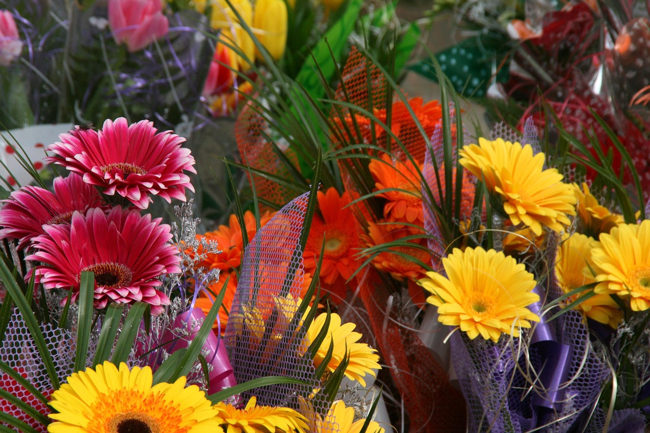 Flore Coloré - Photo gratuite sur Pixabay - Pixabay