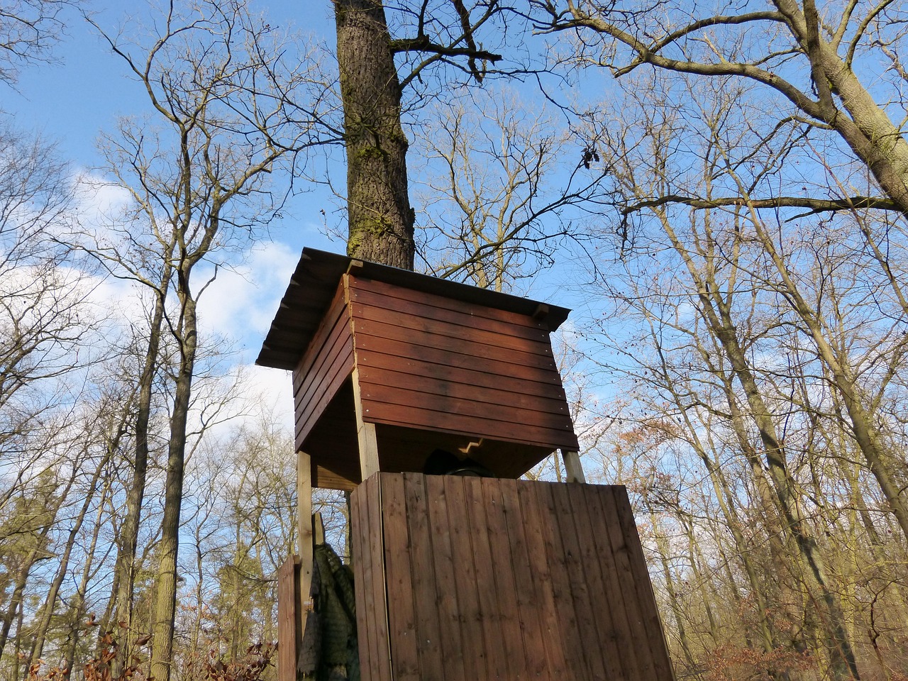 Camouflage Hut Observation Post - Free photo on Pixabay