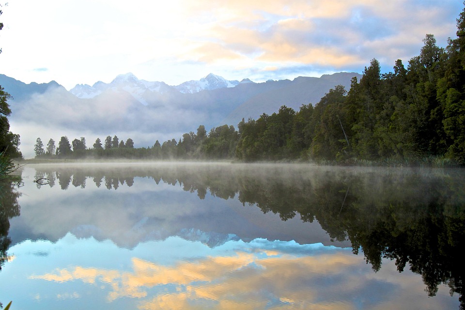 Reflection Water Forrest - Free photo on Pixabay