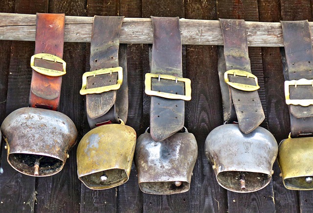 Cowbells Bells Cow - Free photo on Pixabay - Pixabay