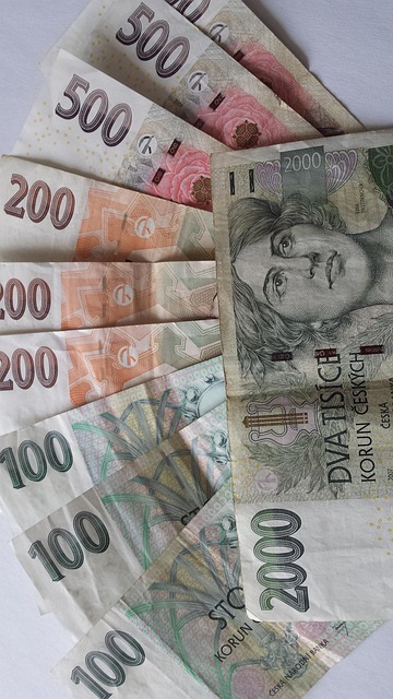 Money Currency Czech - Free photo on Pixabay