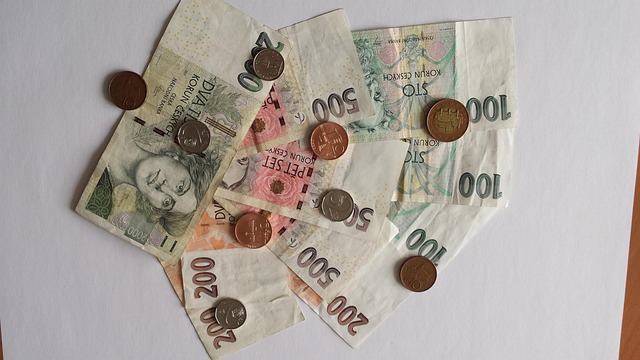 Money Currency Czech - Free photo on Pixabay