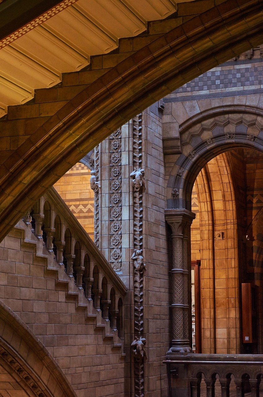 100+ Free Castle Interior & Castle Images - Pixabay