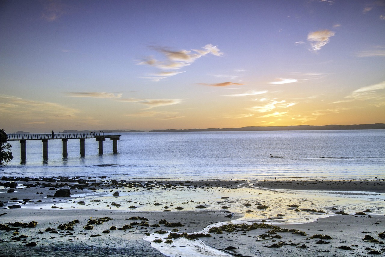 300+ Free Rising Sun & Sun Rise Images - Pixabay