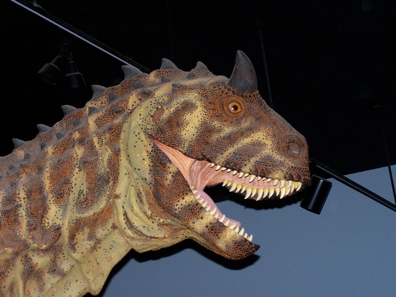 Dinosaur Museum Model - Free photo on Pixabay - Pixabay