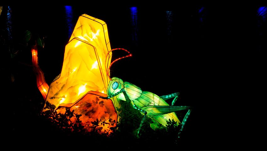 100+ kostenlose Das Laternenfest und Laternenfest-Bilder - Pixabay
