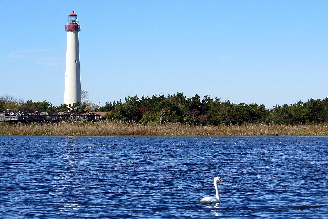 Lighthouse Swan Wetlands Cape - Free photo on Pixabay