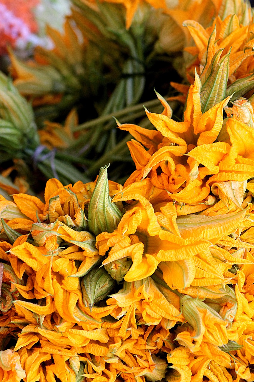 Flowers Yard Fort Pumpkin - Free photo on Pixabay