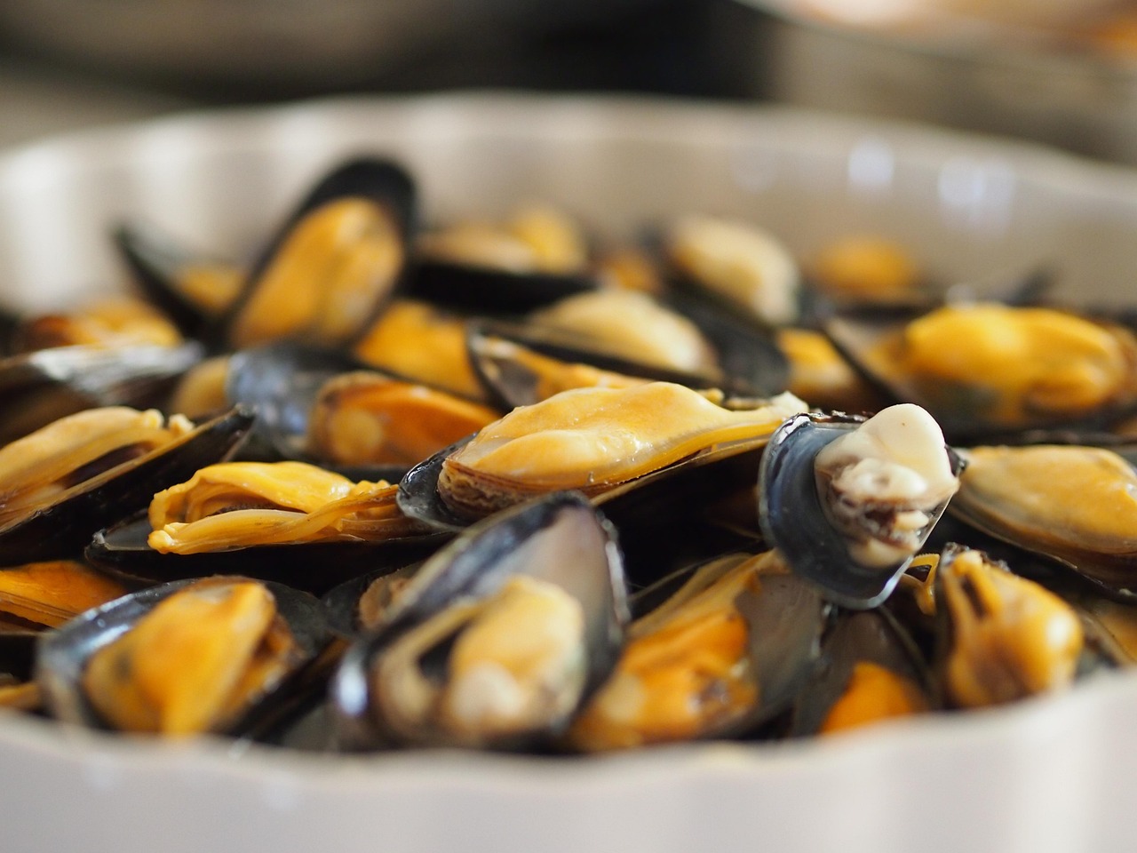 Seafood Molluscs Clams To - Free photo on Pixabay