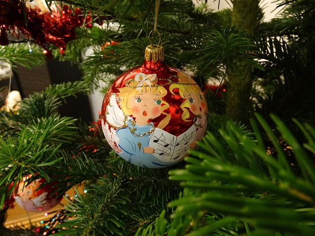 Christmas Fir - Free photo on Pixabay - Pixabay
