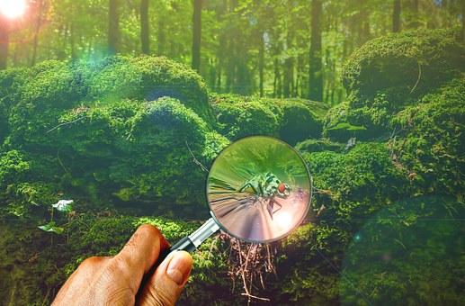 7+ Free Magnifying Glass Sun & Magnifying Glass Images - Pixabay