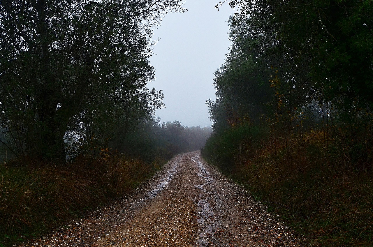 Road To Nowhere Country Italy - Free photo on Pixabay