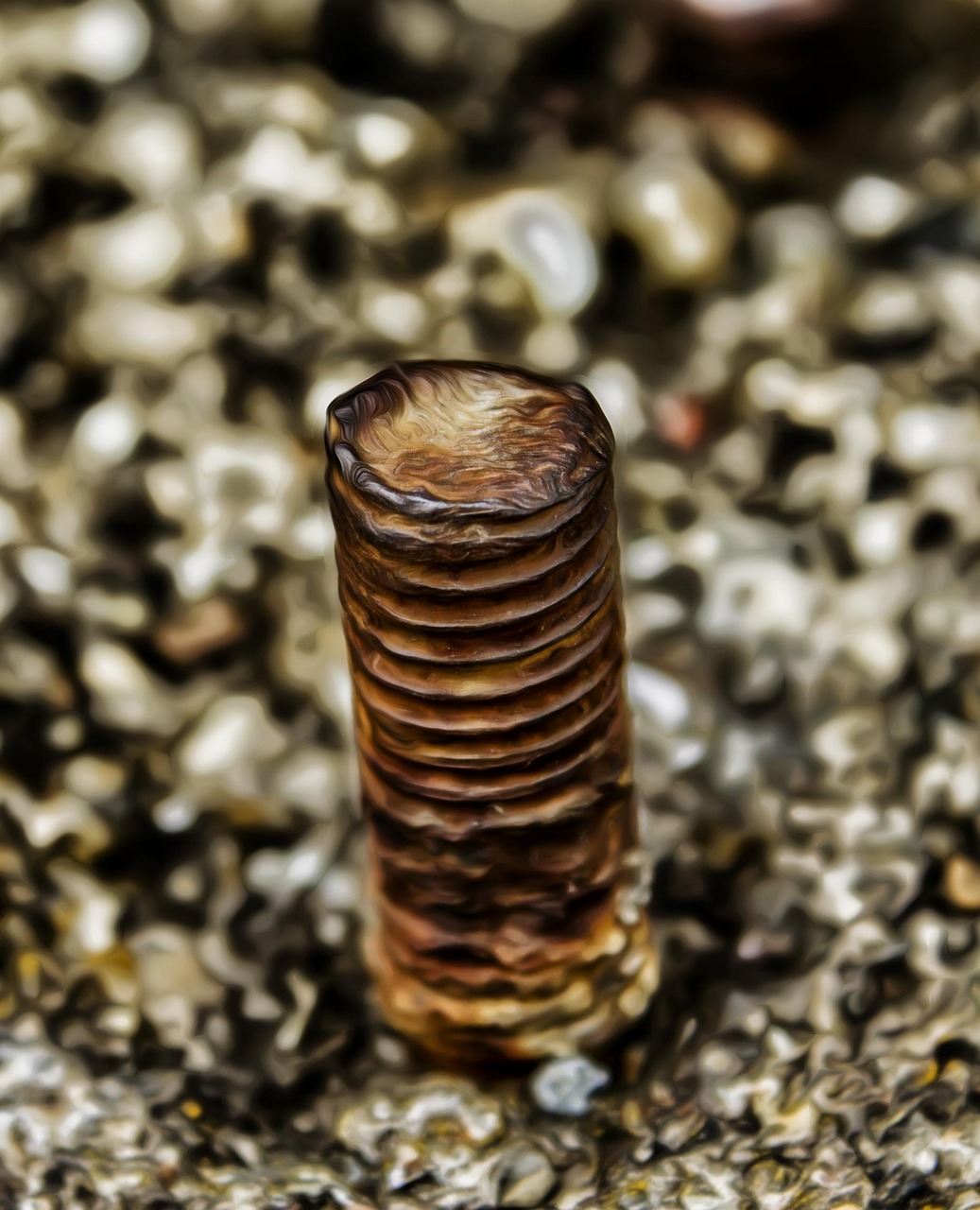 Thread Bolt Rust - Free photo on Pixabay