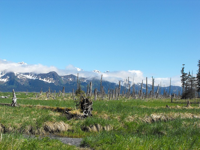 Alaska Nature Sky - Free photo on Pixabay - Pixabay