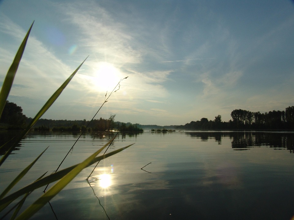 Dawn Island Drava - Free photo on Pixabay - Pixabay Dawn Island Drava - Free photo on Pixabay - Pixabay