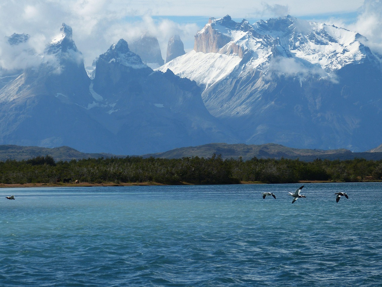 80,000+ Free Torres Del Paine National Park & Patagonia Images - Pixabay