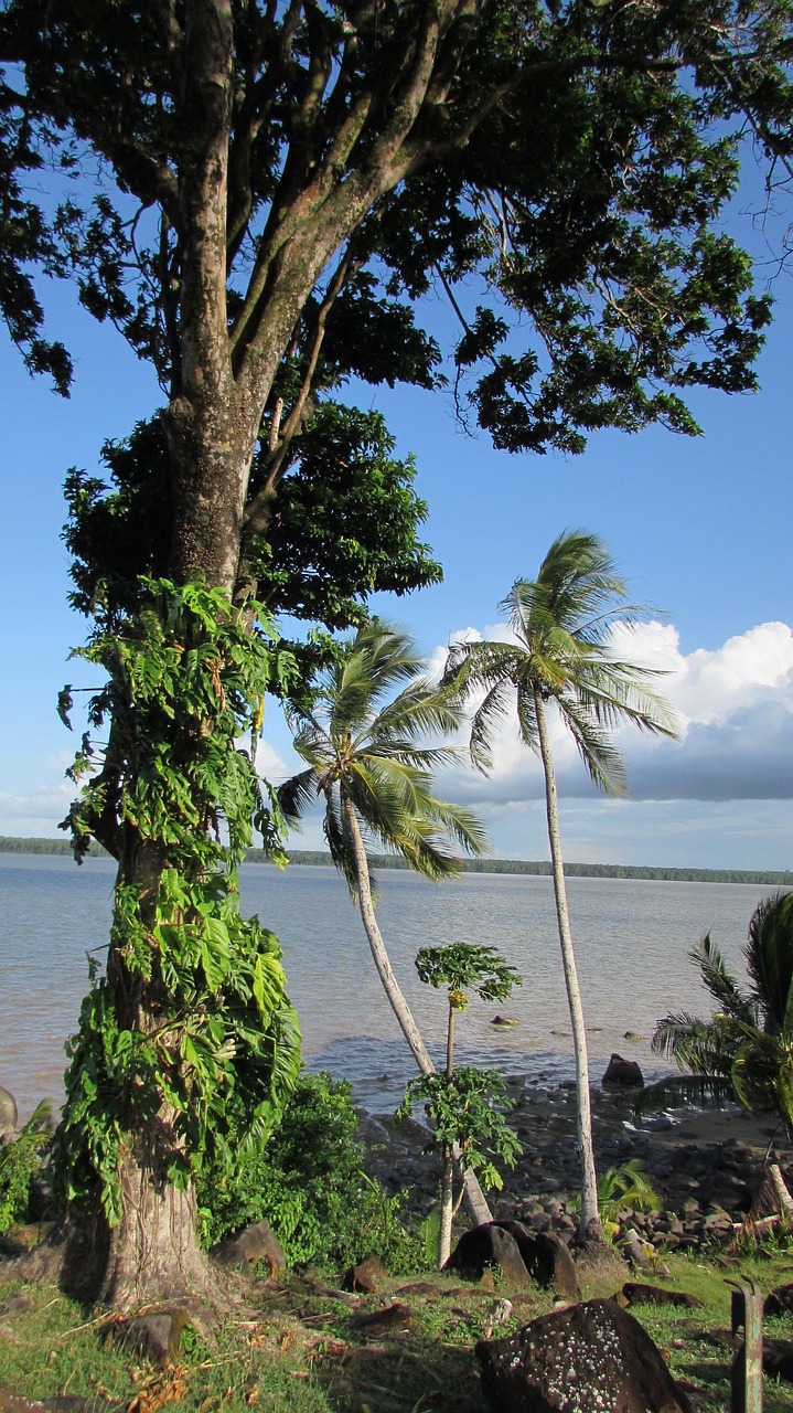 2+ Free Cayenne River & Nature Images - Pixabay