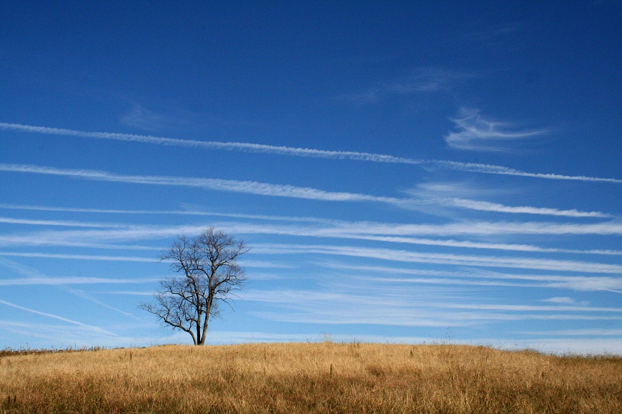 Prairie Meadow Midwest - Free photo on Pixabay