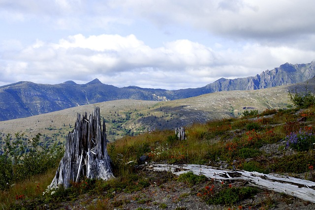 Download Mount St Helens, Volcano, Nature. Royalty-Free Stock ...