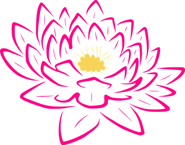 Bloem Contour Clipart Bloem Contour Blauw Gratis Foto Op Pixabay