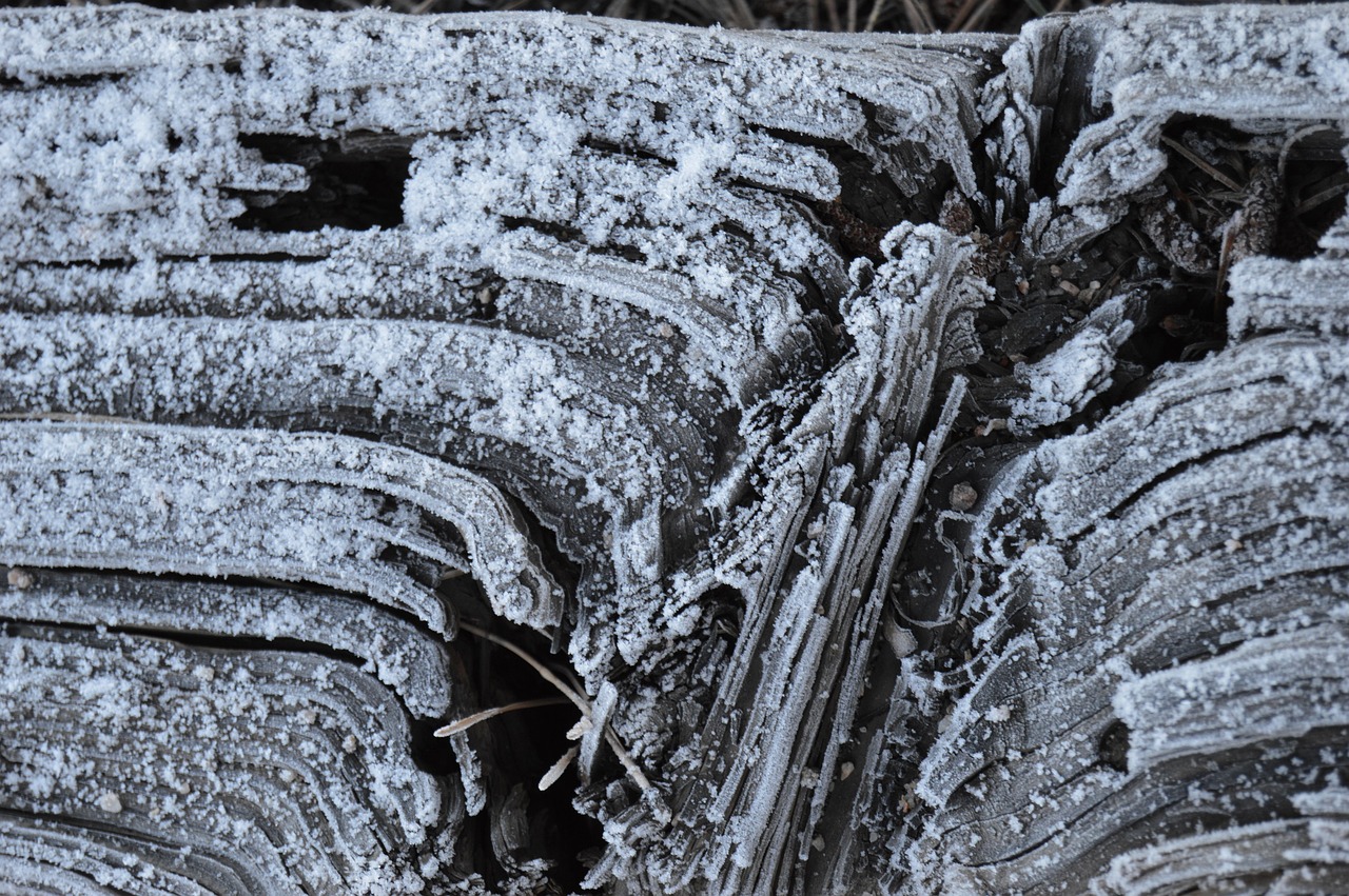 Frost Wood Texture - Free photo on Pixabay