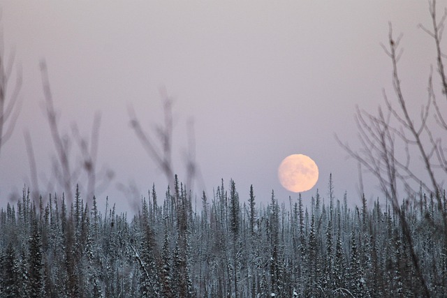 100,000+ Free Winter Moon & Moon Images - Pixabay