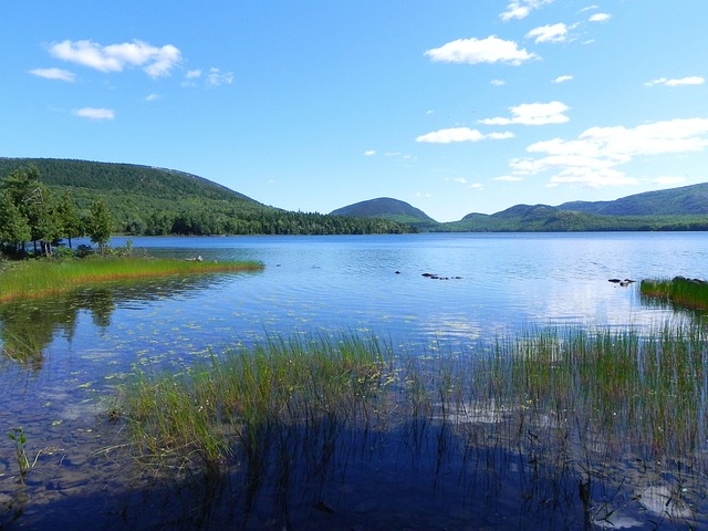 Lac Paisible Eaux Calmes - Photo gratuite sur Pixabay - Pixabay