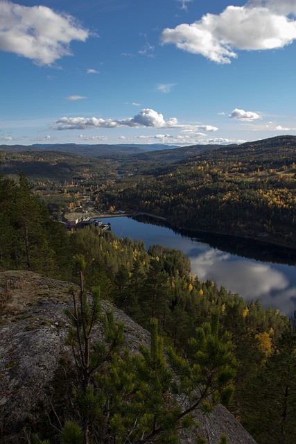 Telemark Forest Sky - Free photo on Pixabay