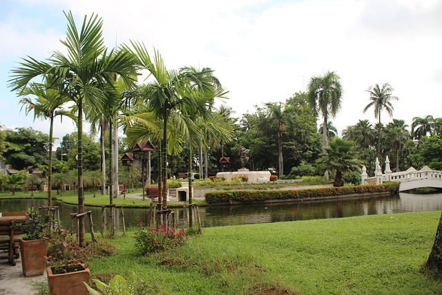 Parque Coqueiro Campos De - Foto gratuita no Pixabay - Pixabay