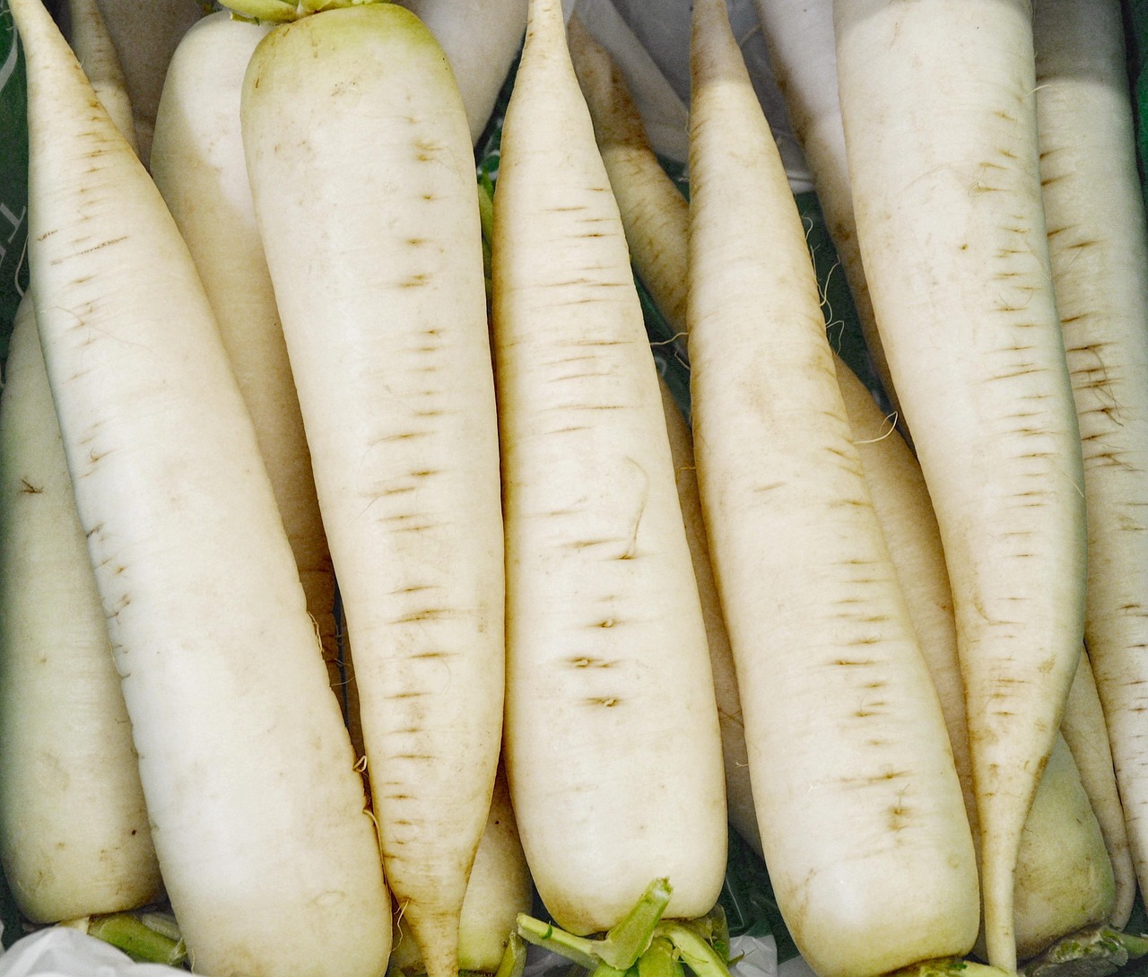 Icicle Radish Vegetables - Free photo on Pixabay - Pixabay