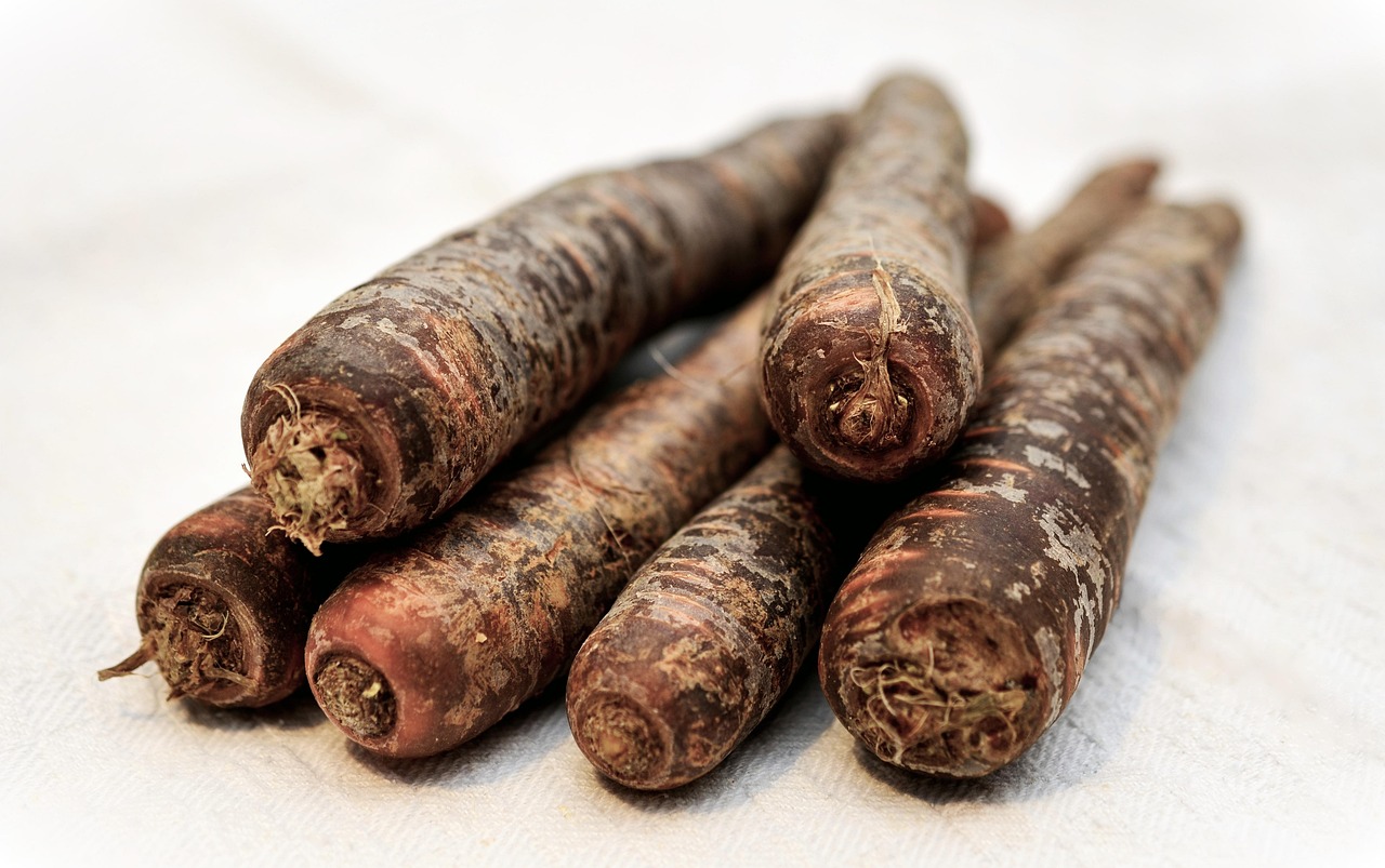 Black Carrots Original Carrot - Free photo on Pixabay