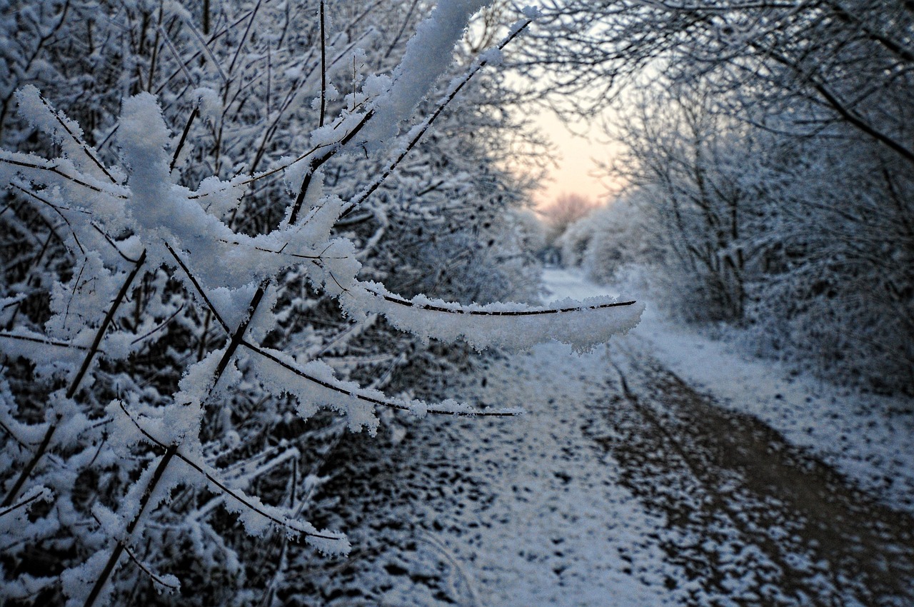 Snow Path Aurora - Free photo on Pixabay - Pixabay