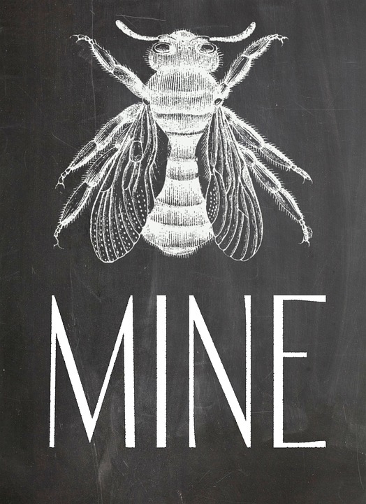 Chalkboard Bee Blackboard - Free photo on Pixabay